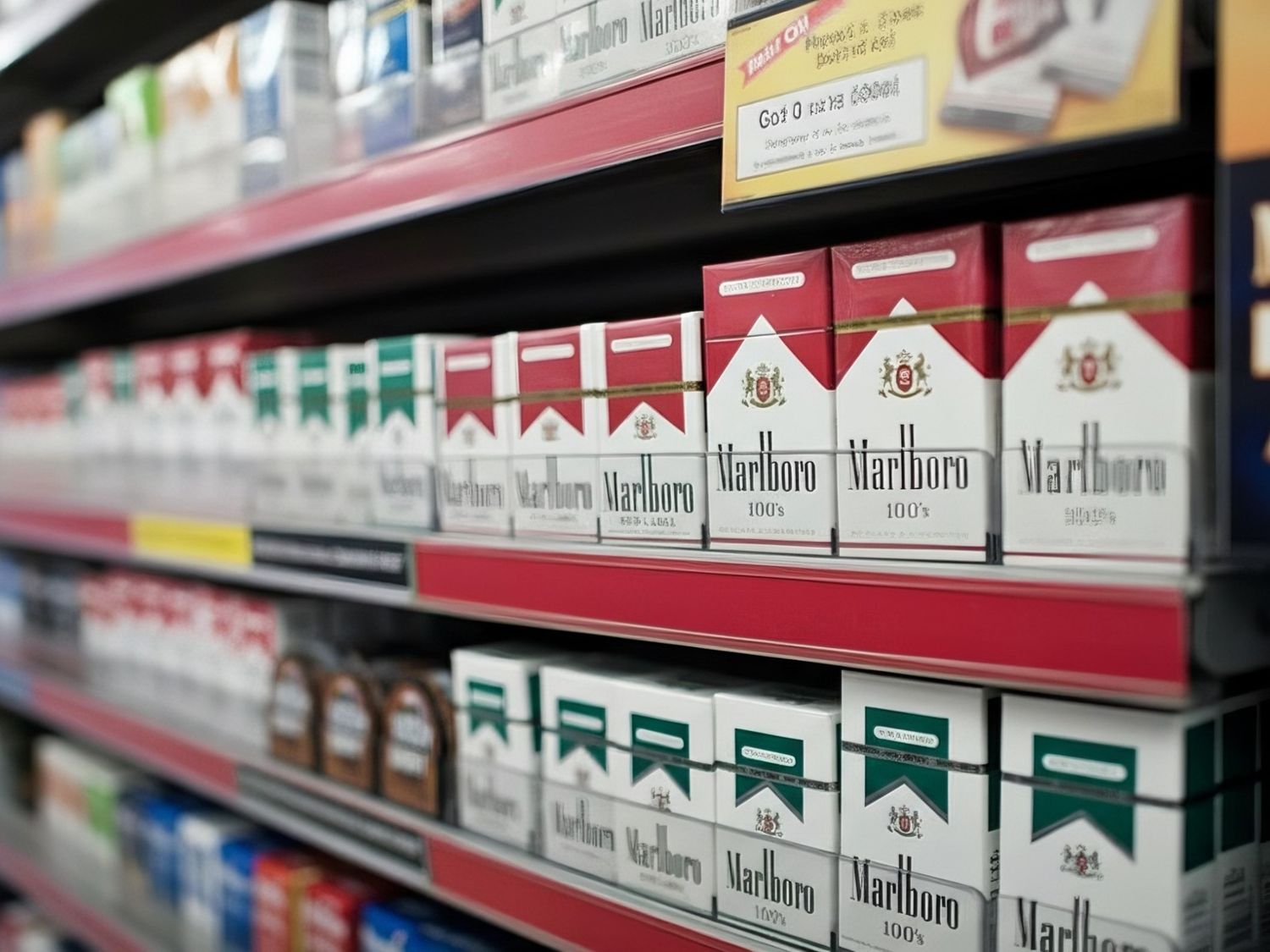 What Is The Most Expensive Cigarette Brand near The W Ross Ave ...