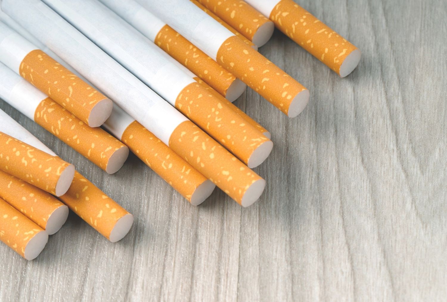 Why Camel Tobacco Has Stayed Popular for Decades at Cloud Chaserz Smoke ...